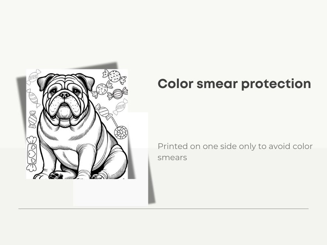 Paws & Colors Book/the Dog Lover’s Breeds Information and Their ...