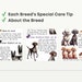 Paws & Colors Book/the Dog Lover’s Breeds Information and Their ...