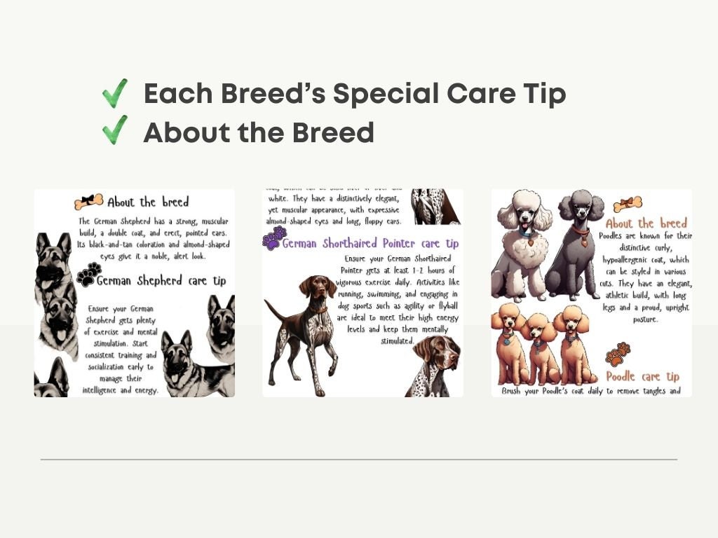 Paws & Colors Book/the Dog Lover’s Breeds Information and Their ...