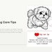 Paws & Colors Book/the Dog Lover’s Breeds Information and Their ...