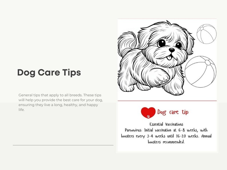 Paws & Colors Book/the Dog Lover’s Breeds Information and Their ...