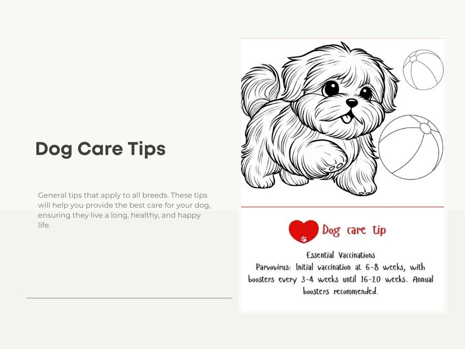 Paws & Colors Book/the Dog Lover’s Breeds Information and Their ...