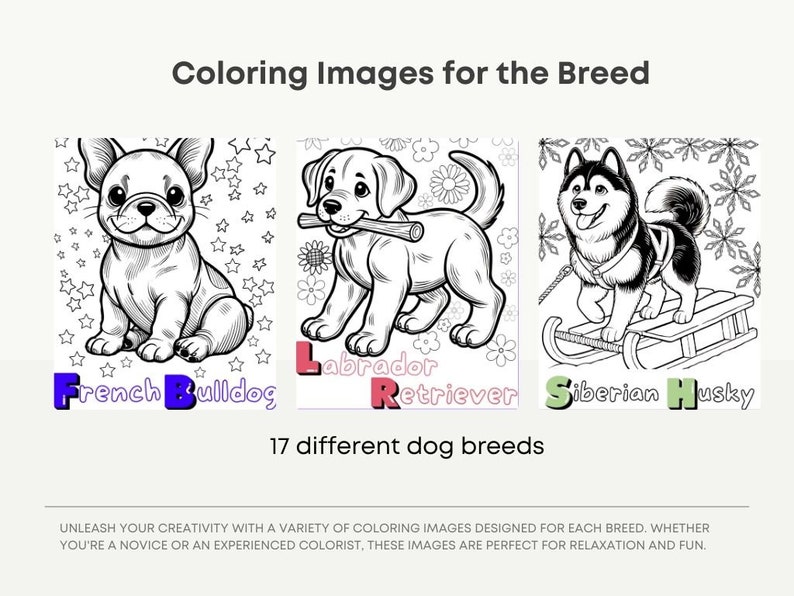 Paws & Colors Book/the Dog Lover’s Breeds Information and Their ...