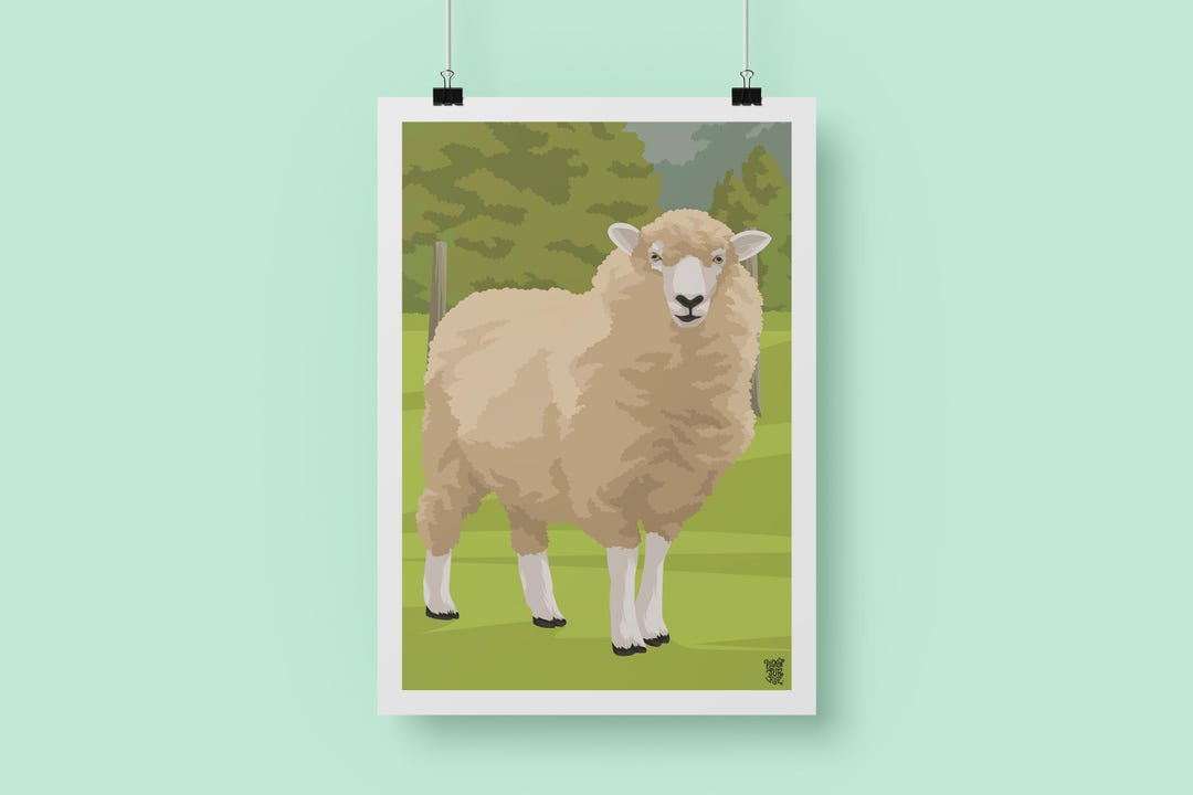 “the Sheep” Poster - Etsy