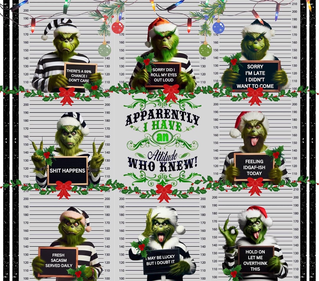 Funny Grinch Sarcastic Naughty Christmas Mugshot - Etsy