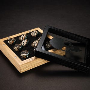 Dice With Skull, D6, Skeleton Dice, Dice Set, Board Games, Epoxy Dice ...