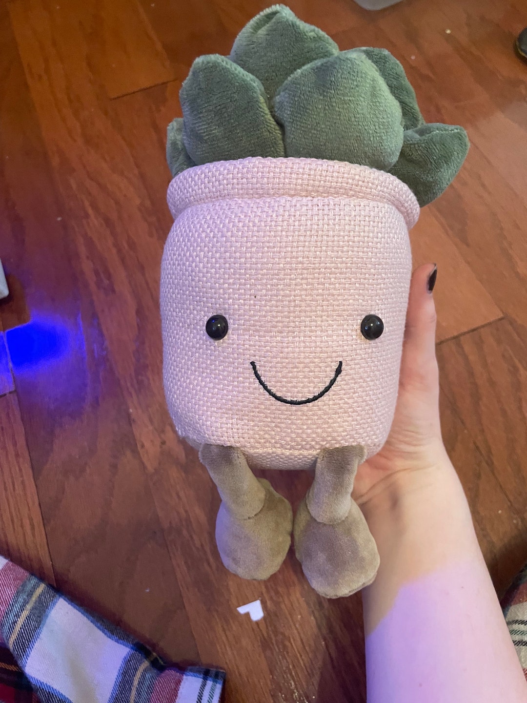 Silly Succulent Plushie for Shelves - Etsy