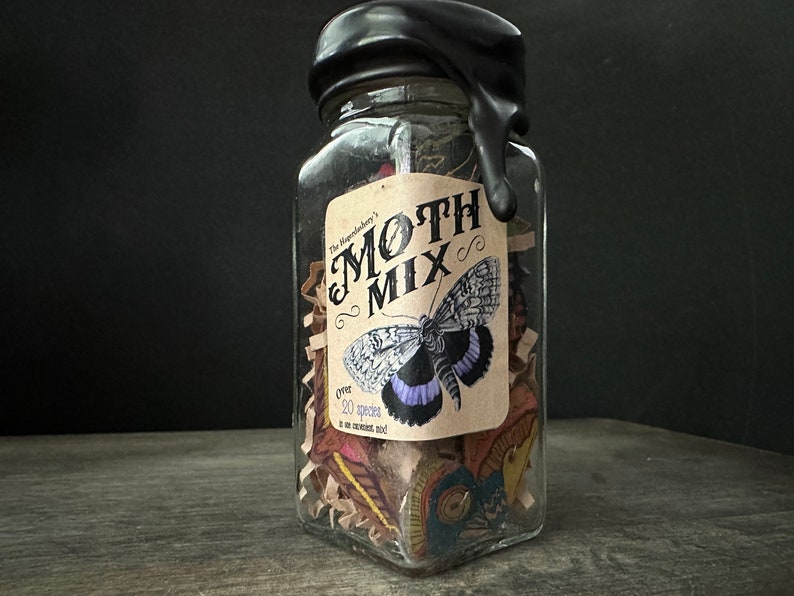 Insect Apothecary Labels, Vintage Style Printable Potion Labels ...