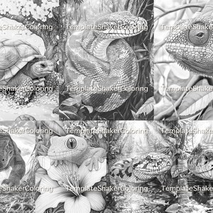 Reptiles Adult Coloring Book: Grayscale Pages, Lizards, Snakes, Turtles ...