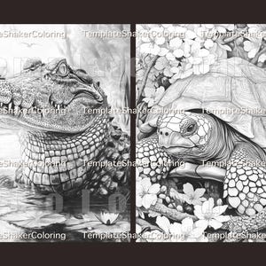 30 Reptiles Coloring Pages, Lizards Grayscale Coloring Book for Adults ...