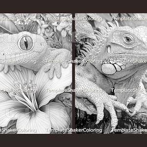 30 Reptiles Coloring Pages, Lizards Grayscale Coloring Book for Adults ...