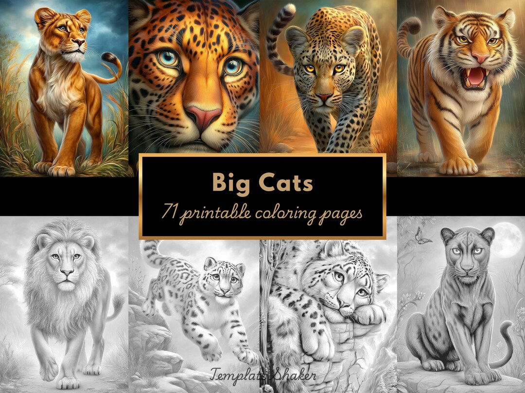 Big Cats Coloring Book for Adults: Dramatic Wildlife Grayscale Pages ...