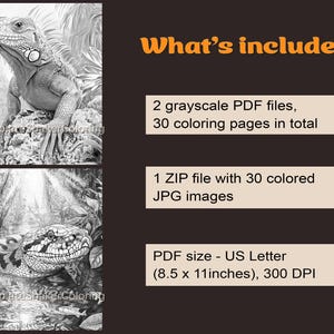 Reptiles Adult Coloring Book: Grayscale Pages, Lizards, Snakes, Turtles ...