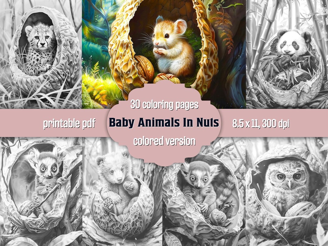30 Cute Baby Animals in Nuts Coloring Pages - Grayscale Coloring Book ...