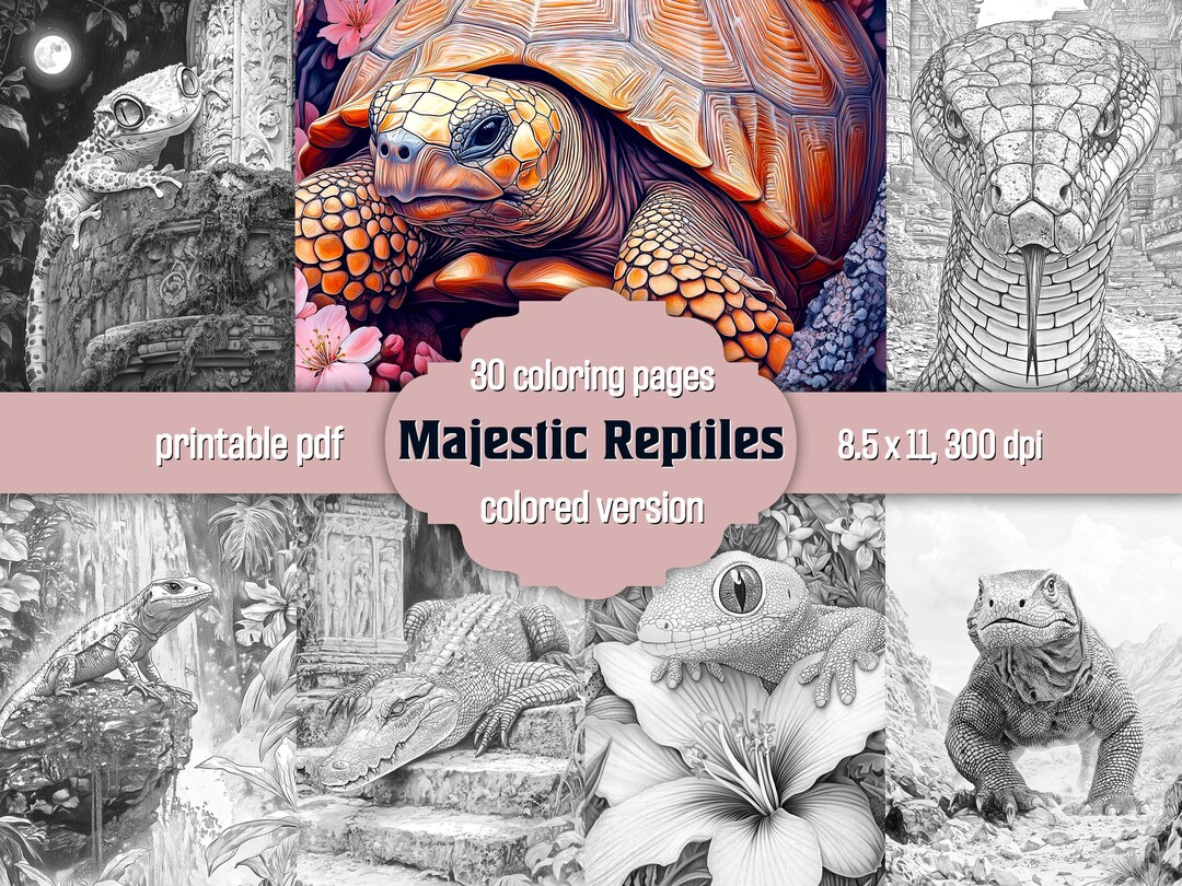 Reptiles Adult Coloring Book: Grayscale Pages, Lizards, Snakes, Turtles ...