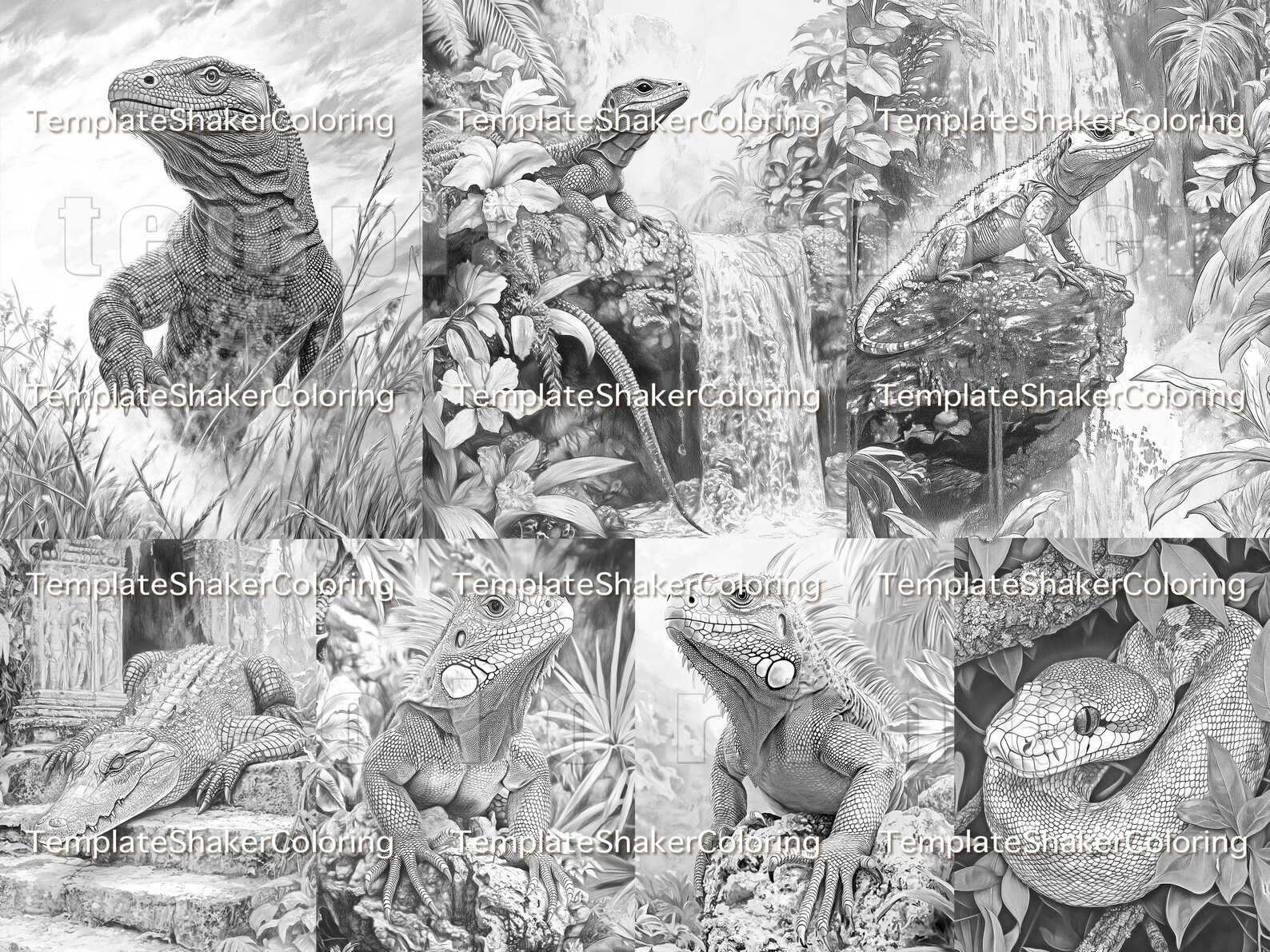 Reptiles Adult Coloring Book: Grayscale Pages, Lizards, Snakes, Turtles ...