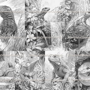 30 Reptiles Coloring Pages, Lizards Grayscale Coloring Book for Adults ...