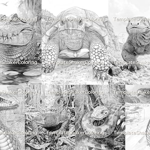 Reptiles Adult Coloring Book: Grayscale Pages, Lizards, Snakes, Turtles ...