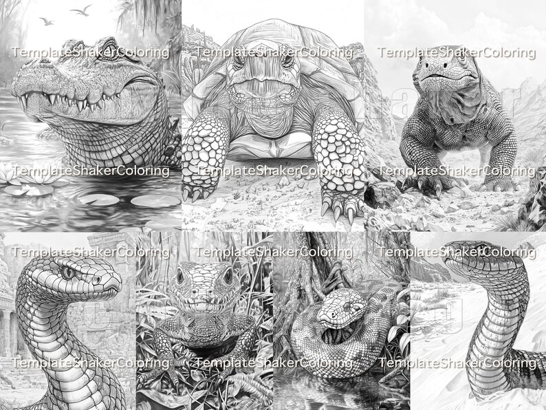 Reptiles Adult Coloring Book: Grayscale Pages, Lizards, Snakes, Turtles ...