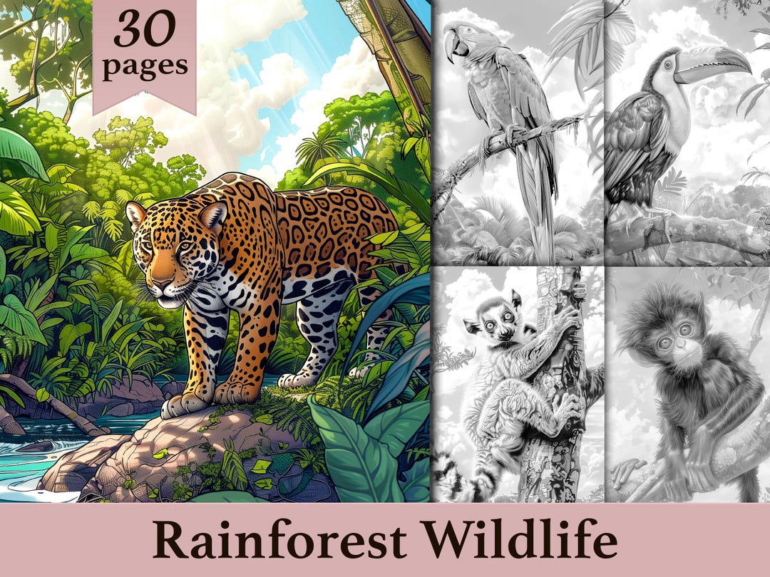 30 Rainforest Animals Coloring Pages - Grayscale Coloring Book for ...