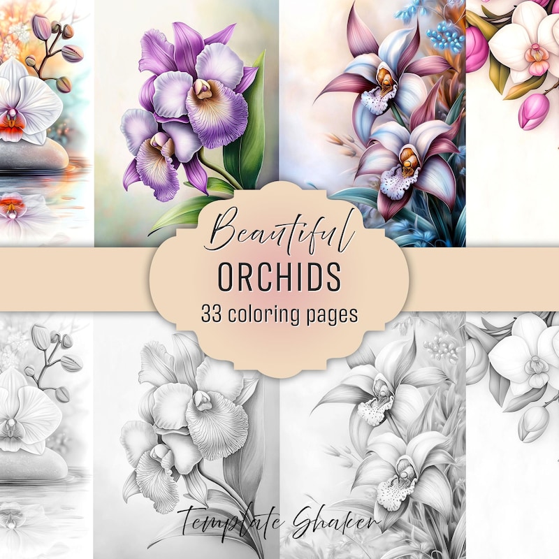 Orchid Coloring Book - Etsy UK