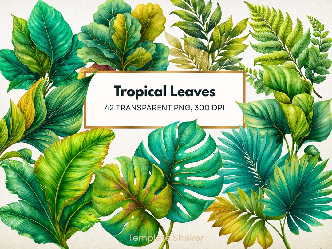 Tropical Leaves Watercolor Clipart, 42 Transparent PNG Set, Commercial ...