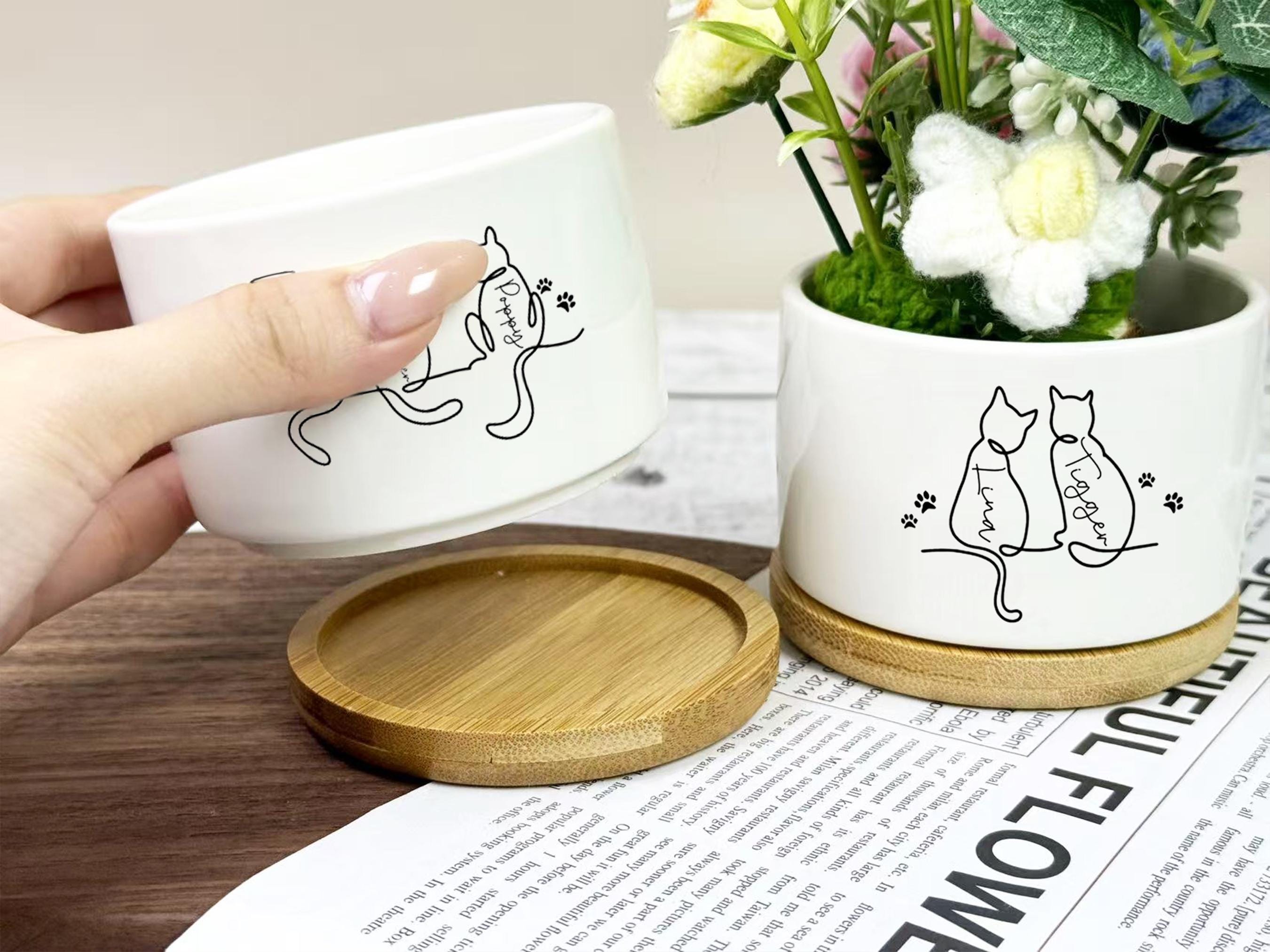 Cat's Name Succulent Pots Personalised Memorial Gifts, Custom Pet Plant ...