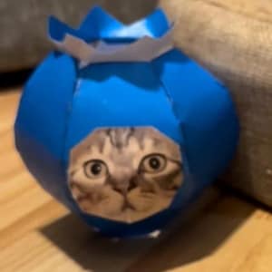 12 Meme Cat Paper Craft PDF Template, Maxwell Cat, Happy Cat, Banana ...