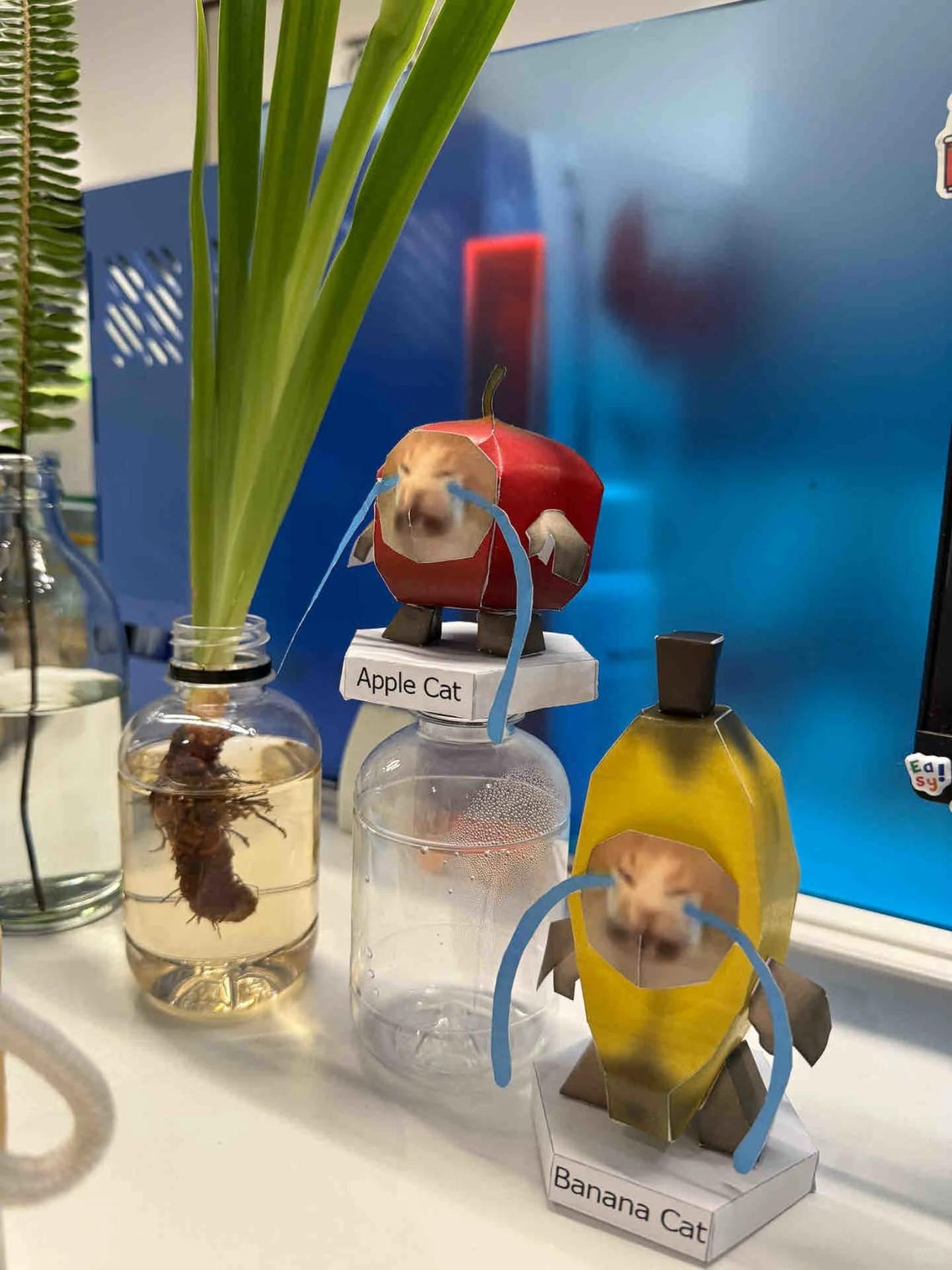 12 Meme Cat Paper Craft PDF Template, Maxwell Cat, Happy Cat, Banana ...