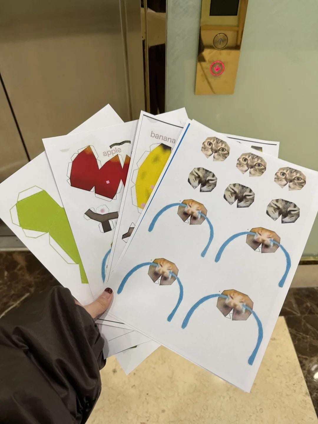 12 Funny Cat Meme Paper Craft PDF Template, Maxwell Cat, Happy Cat ...