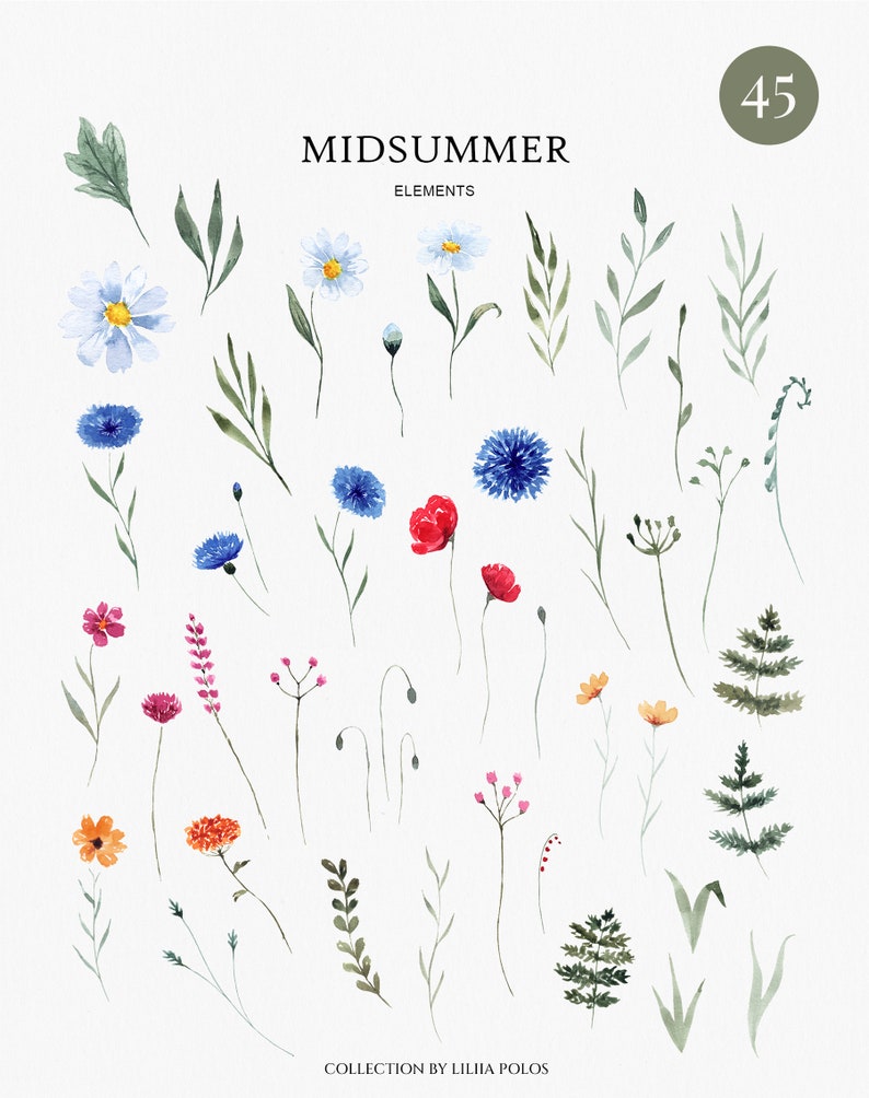 Watercolor Wildflower Clipart Set: 45 PNG Floral DIY Elements (digital ...
