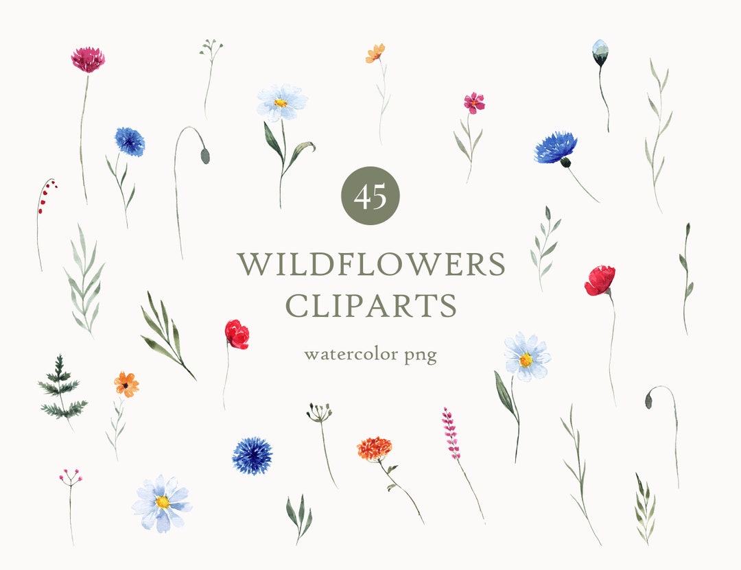 Watercolor Wildflower Clipart Set: 45 PNG Floral DIY Elements (digital ...
