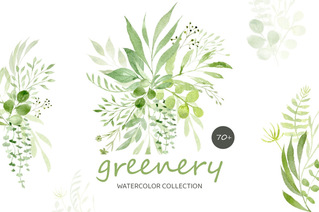 Greenery Watercolor Clipart Collection - Green Leaves Bundle Clip Art ...