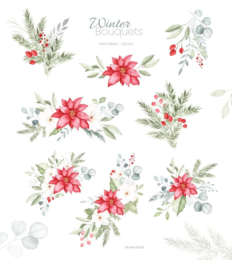 Winter Floral Botanical Clipart Set - Poinsettia Flower PNG, Digital ...