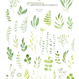 Greenery Watercolor Clipart Collection - Green Leaves Bundle Clip Art ...