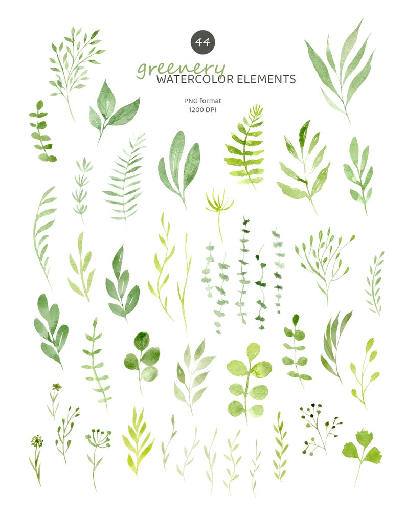 Greenery Watercolor Clipart Collection - Green Leaves Bundle Clip Art ...