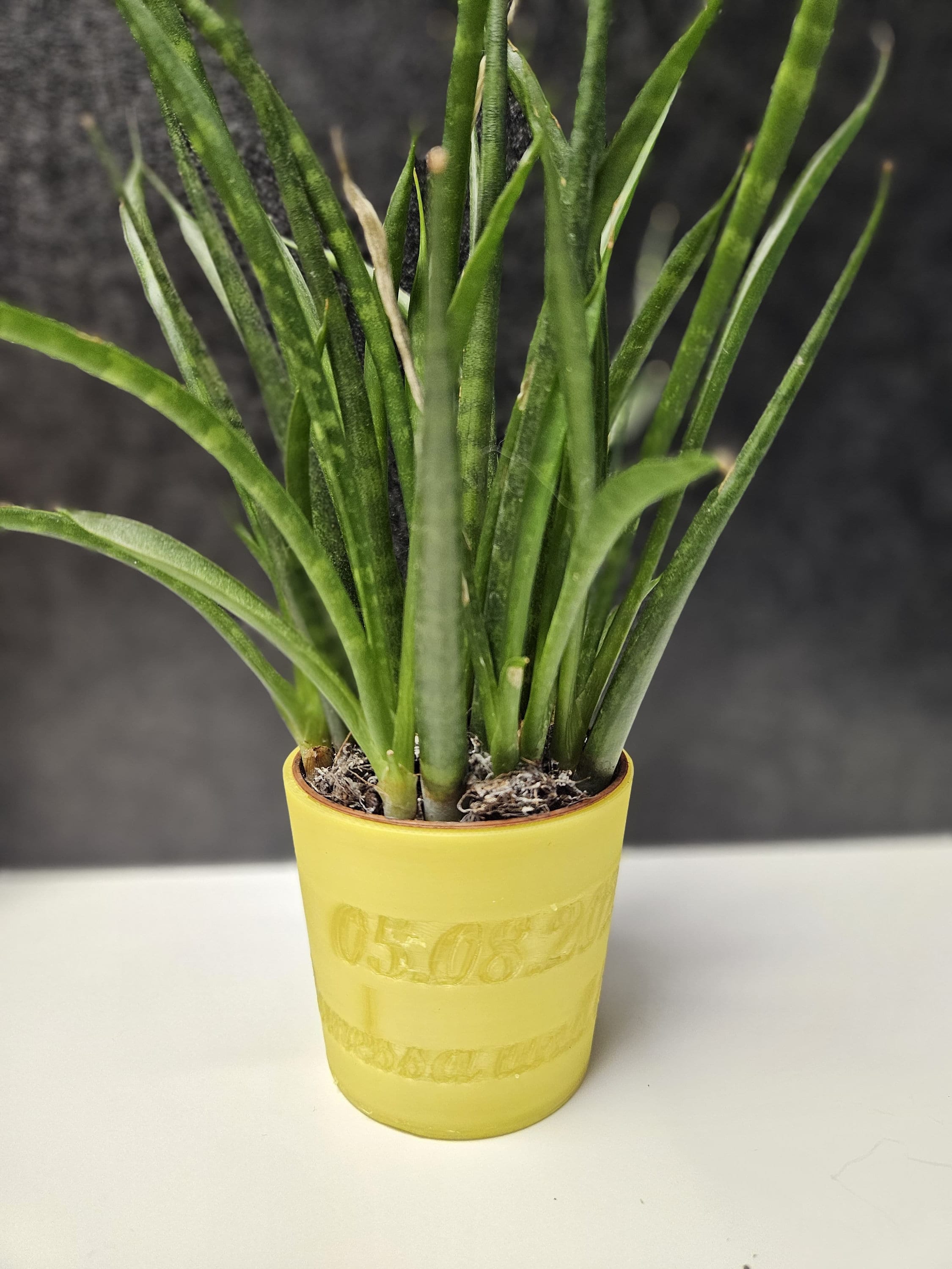 Personalized Flower Pot - Wedding Gift - Etsy