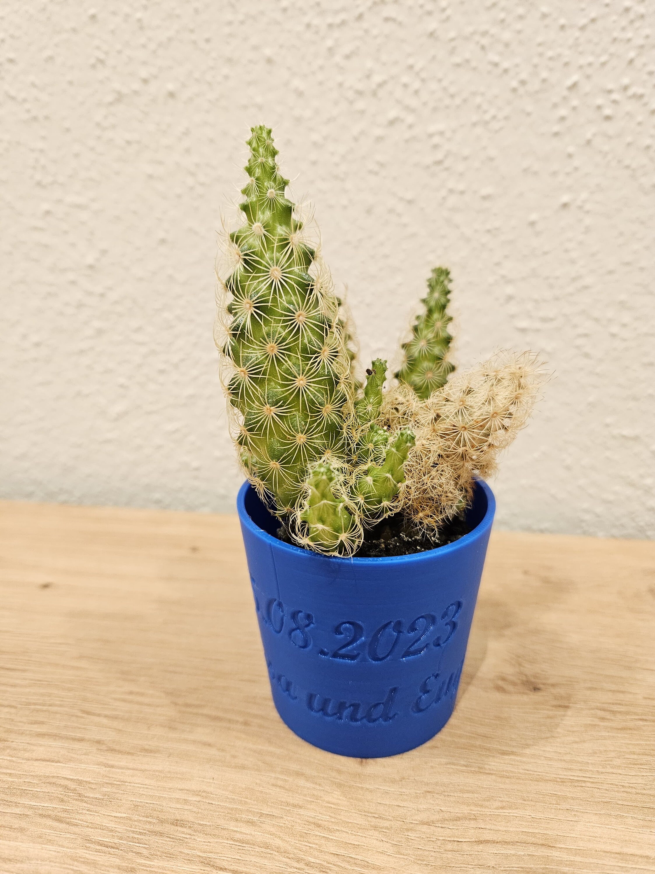 Personalized Flower Pot - Wedding Gift - Etsy
