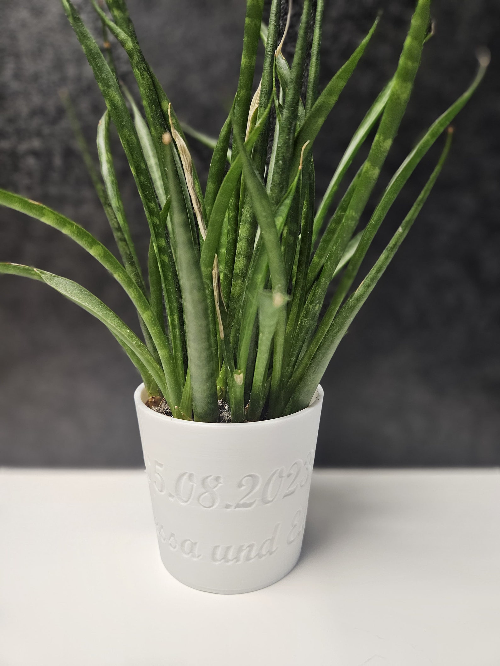Personalized Flower Pot - Wedding Gift - Etsy