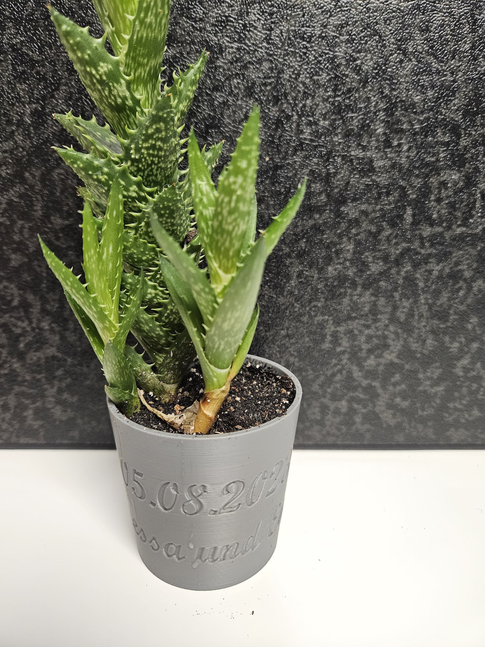 Personalized Flower Pot - Wedding Gift - Etsy
