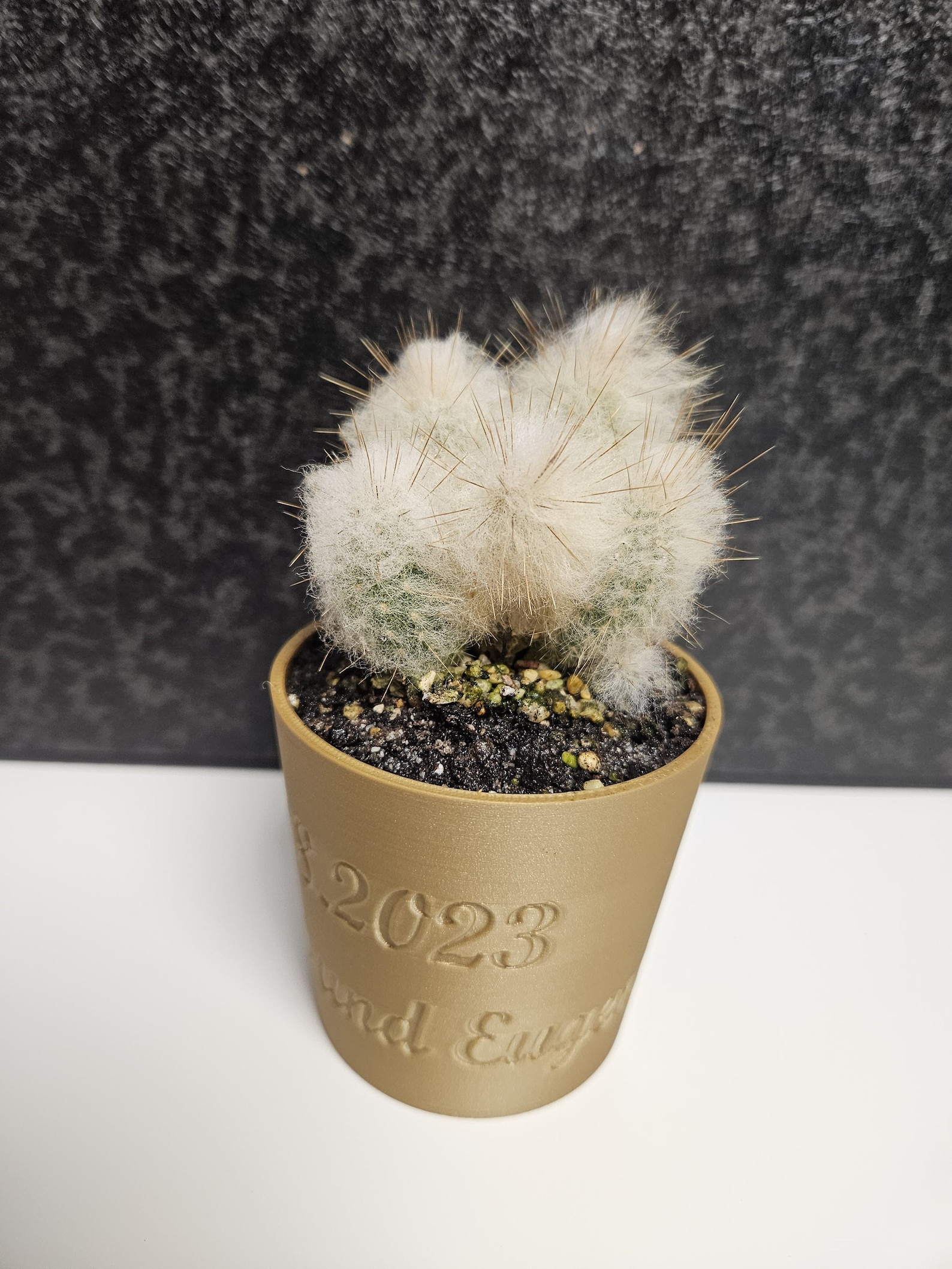 Personalized Flower Pot - Wedding Gift - Etsy