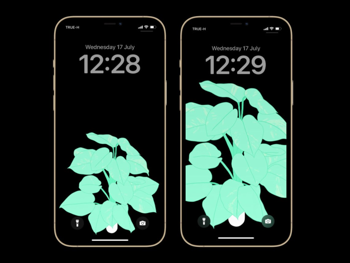Plant iPad & iPhone Wallpaper Set - Tropical, House Plants, Plant Gifts ...