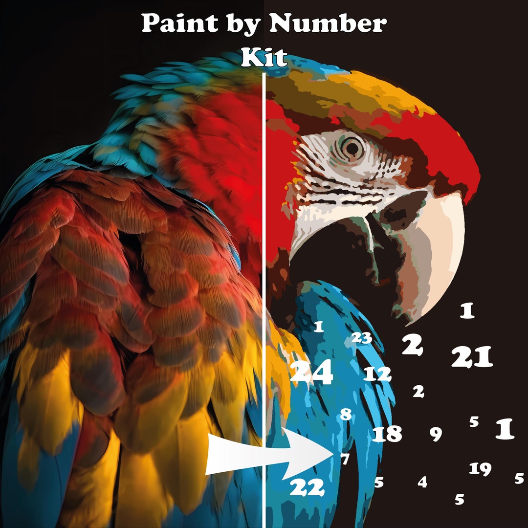 Colorful Parrot Paint by Numbers Kit Vibrant DIY Painting for Adults ...