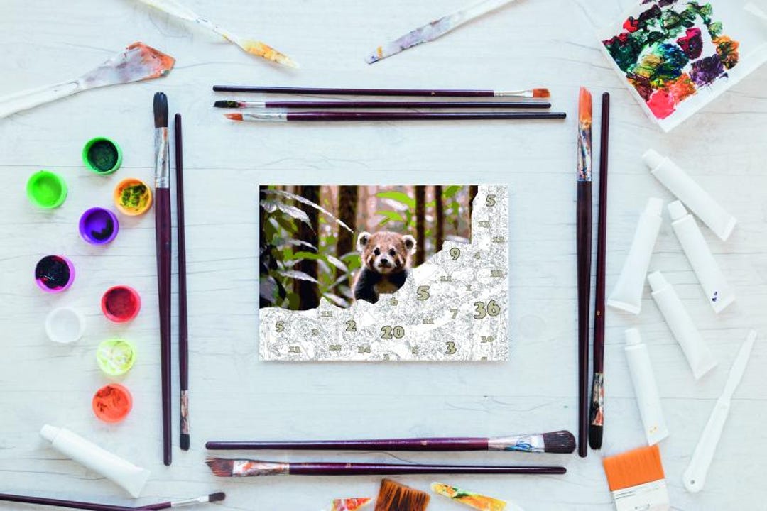 Adorable DIY Red Panda Paint by Number Kit Fun Crafting Project Perfect ...