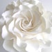 White Rose Cake Topper Flower Cake Topper Wedding Cake Flower Floral ...