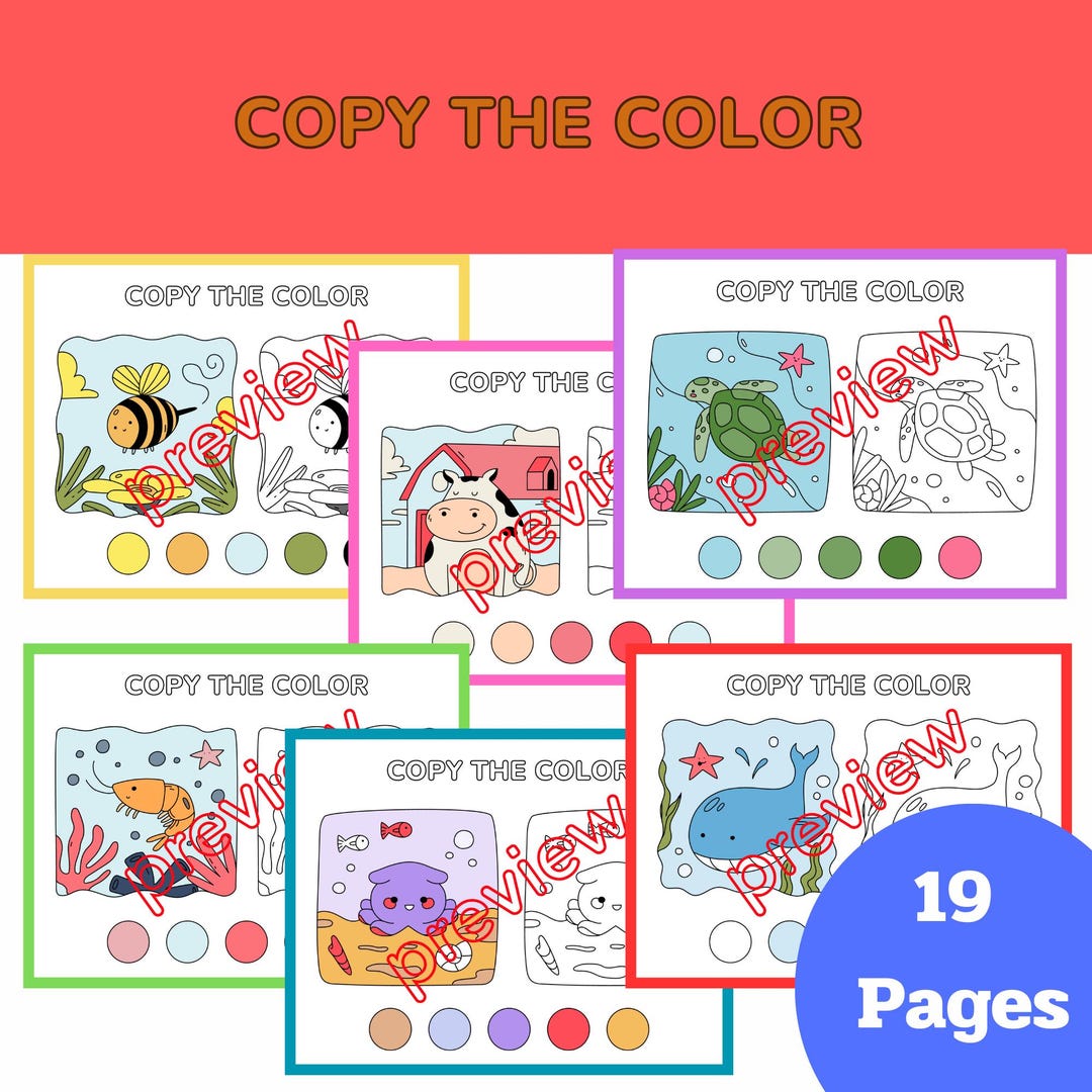Copy the Color Activity Printable - Etsy