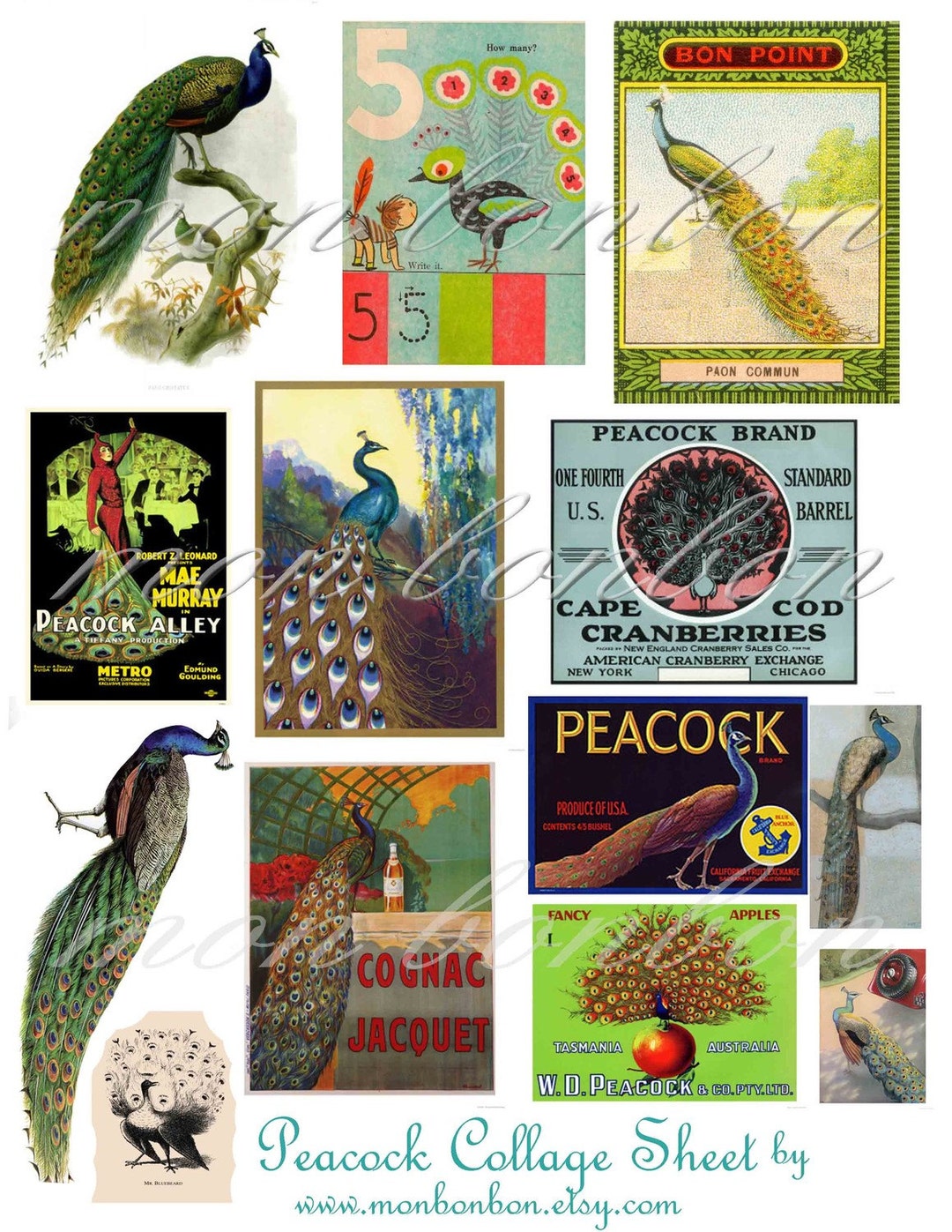 Peacock Collage Sheet - Digital Download You Print - Junk Journal ...