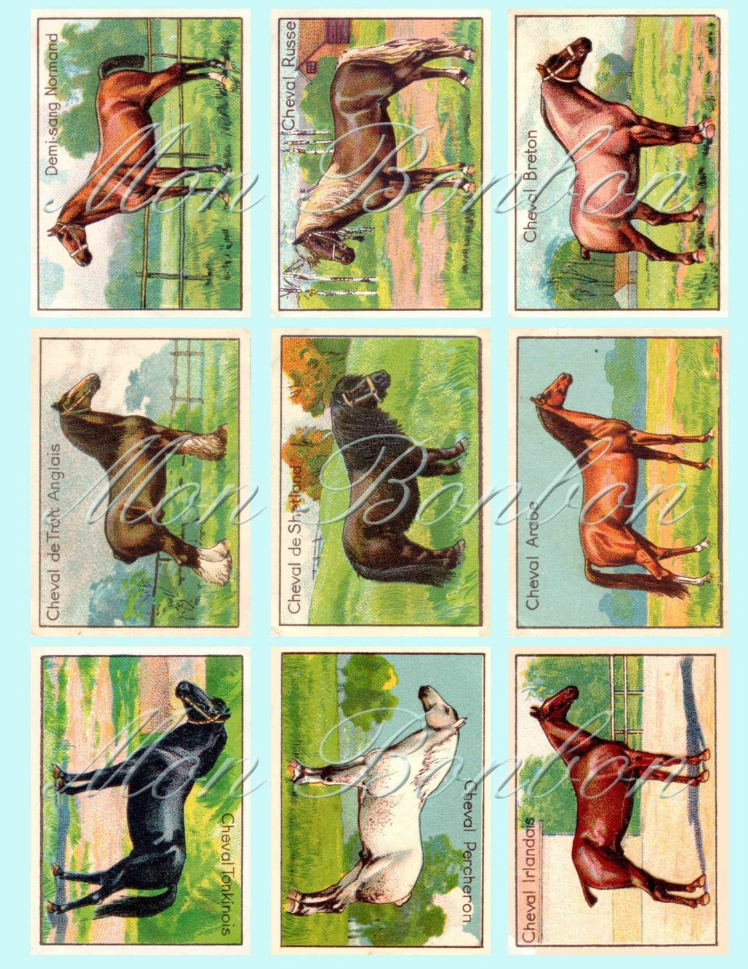 Vintage French Equine Horse Cards Ephemera Collage Sheet- INSTANT ...