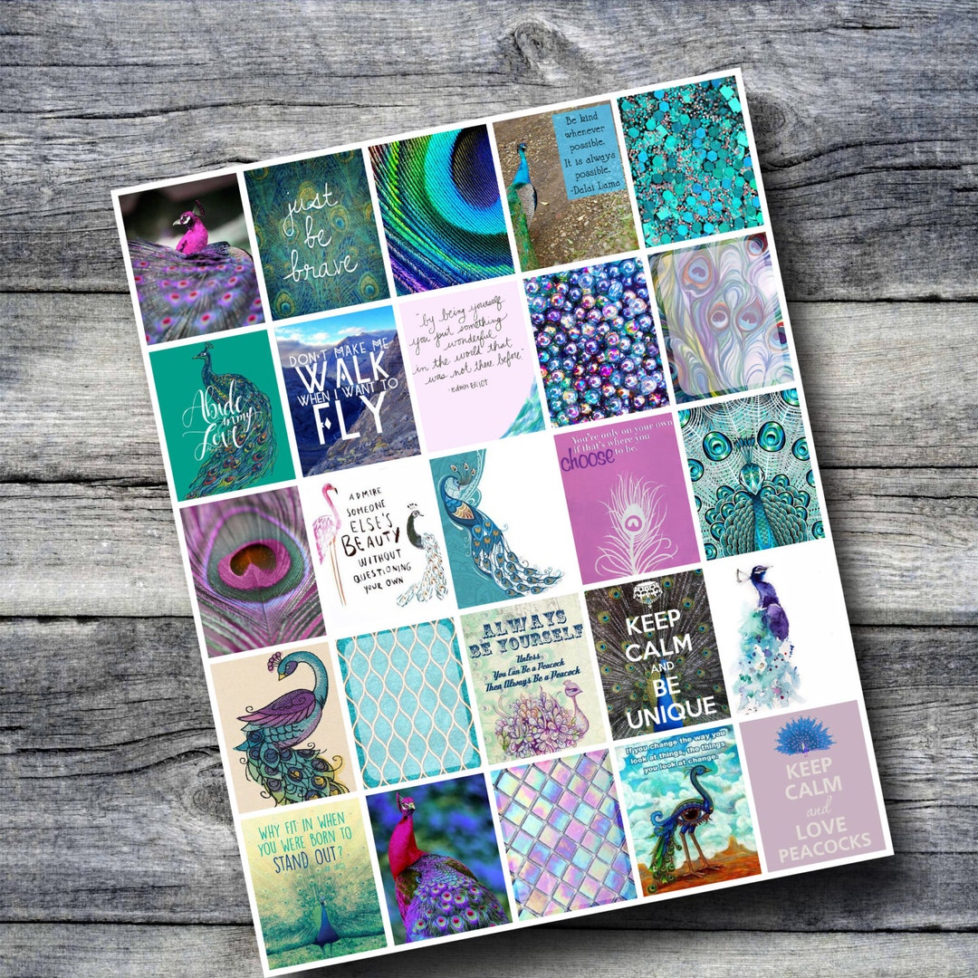 Peacock Planner Printable - Print Your Own Planner Stickers - Peacocks ...