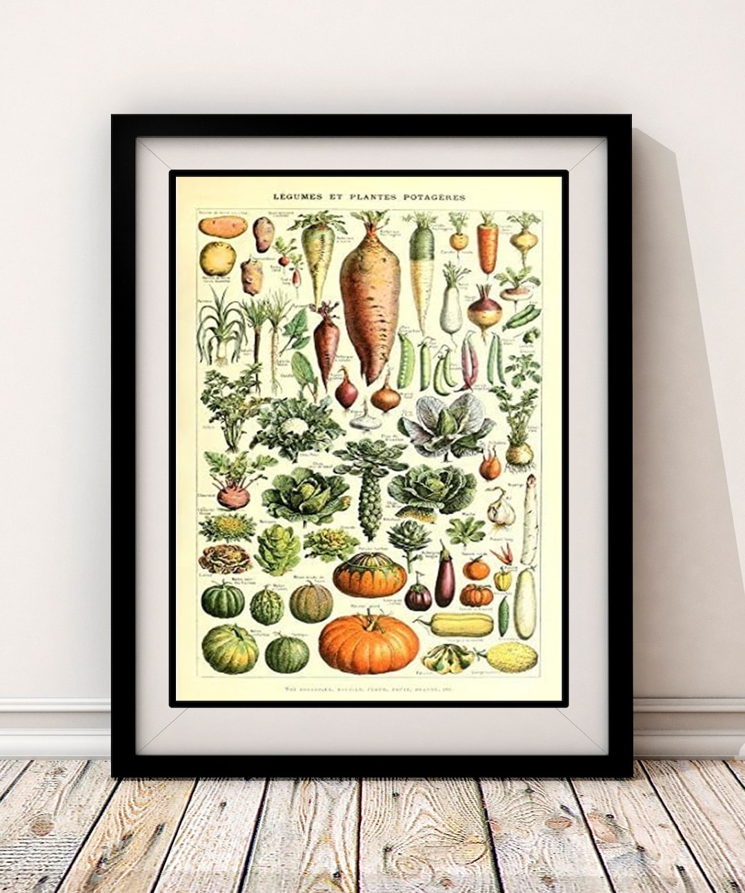 Vintage Vegetable Chart Poster Print Diagram Art Home Decor Wall Art ...